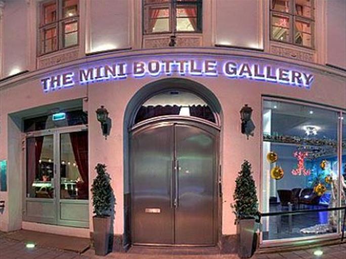 The Mini Bottle Gallery